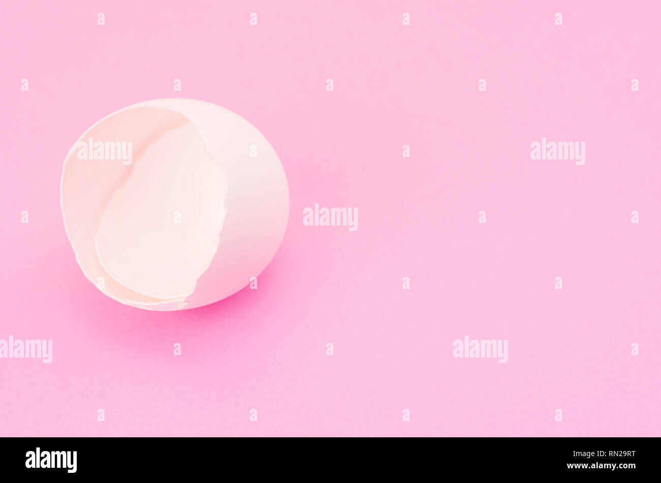 white empty broken egg shell on a pastel colored surface Stock Photo ...
