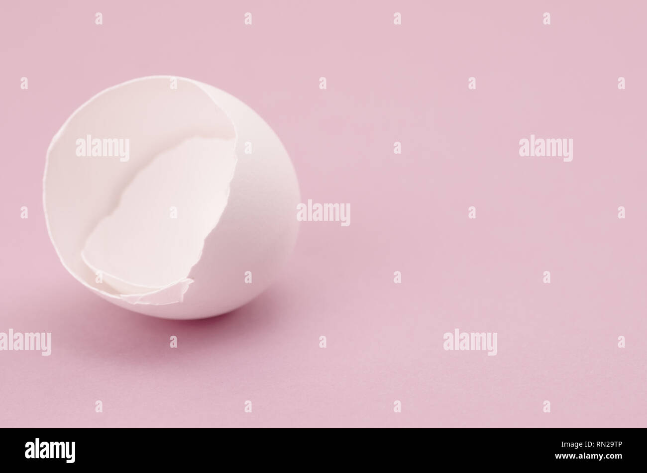 white empty broken egg shell on a pastel colored surface Stock Photo ...