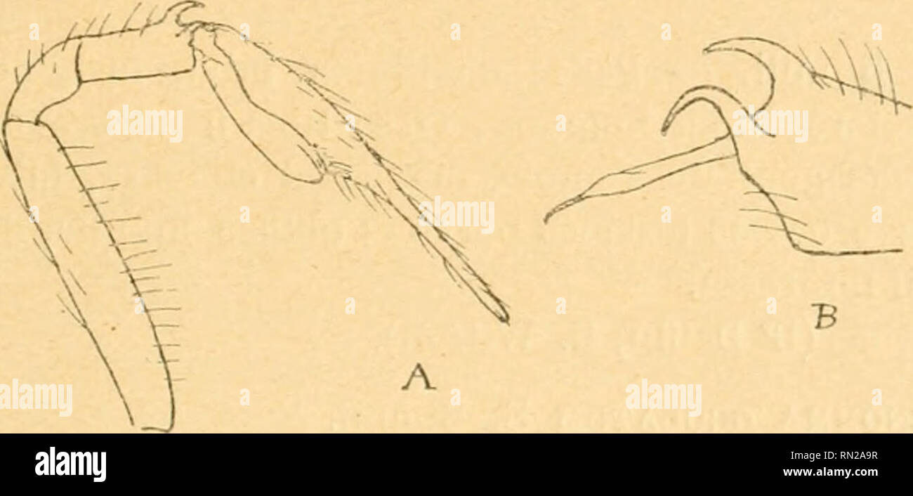 área de portería hi-res stock photography and images - Alamy