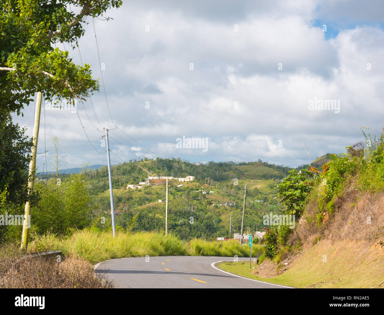 View from Ruta panoramica (Cordillera central) road in Puerto Rico. USA ...