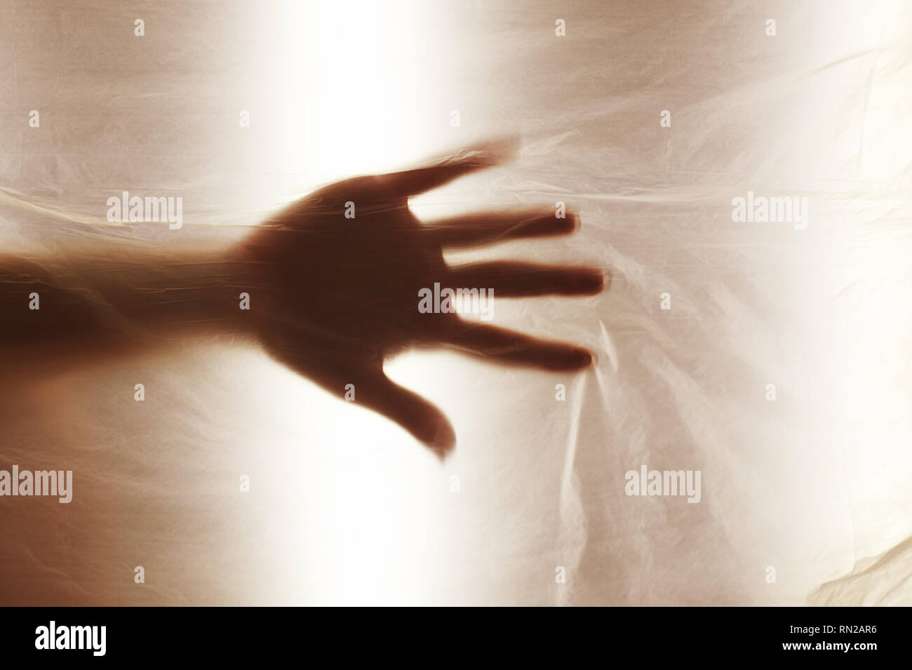 Hands through the clear film.Beautiful delicate feminine hands. A ...