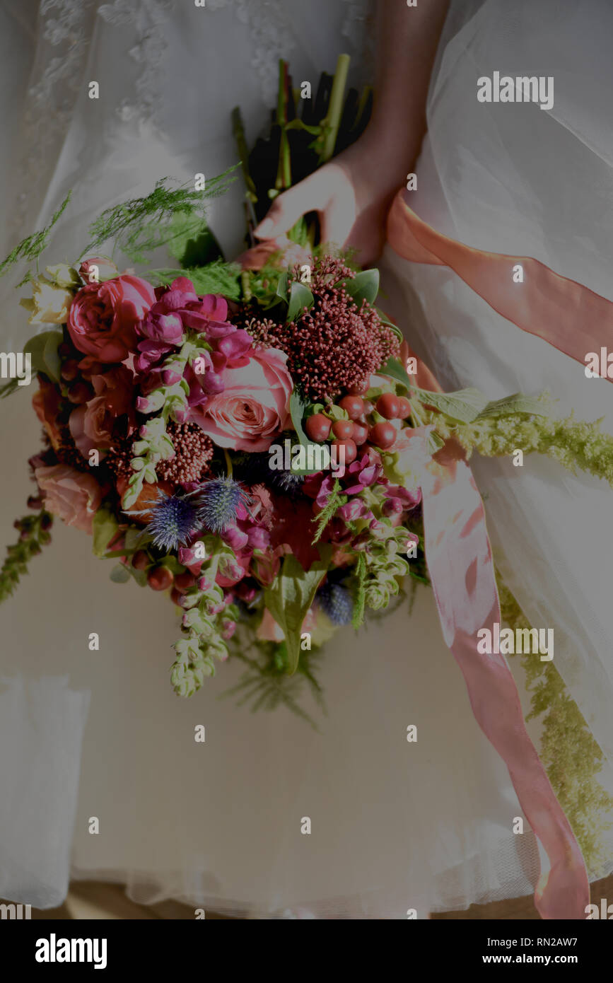 Beautiful vibrant cut flowers in a display in a strong low natural ...