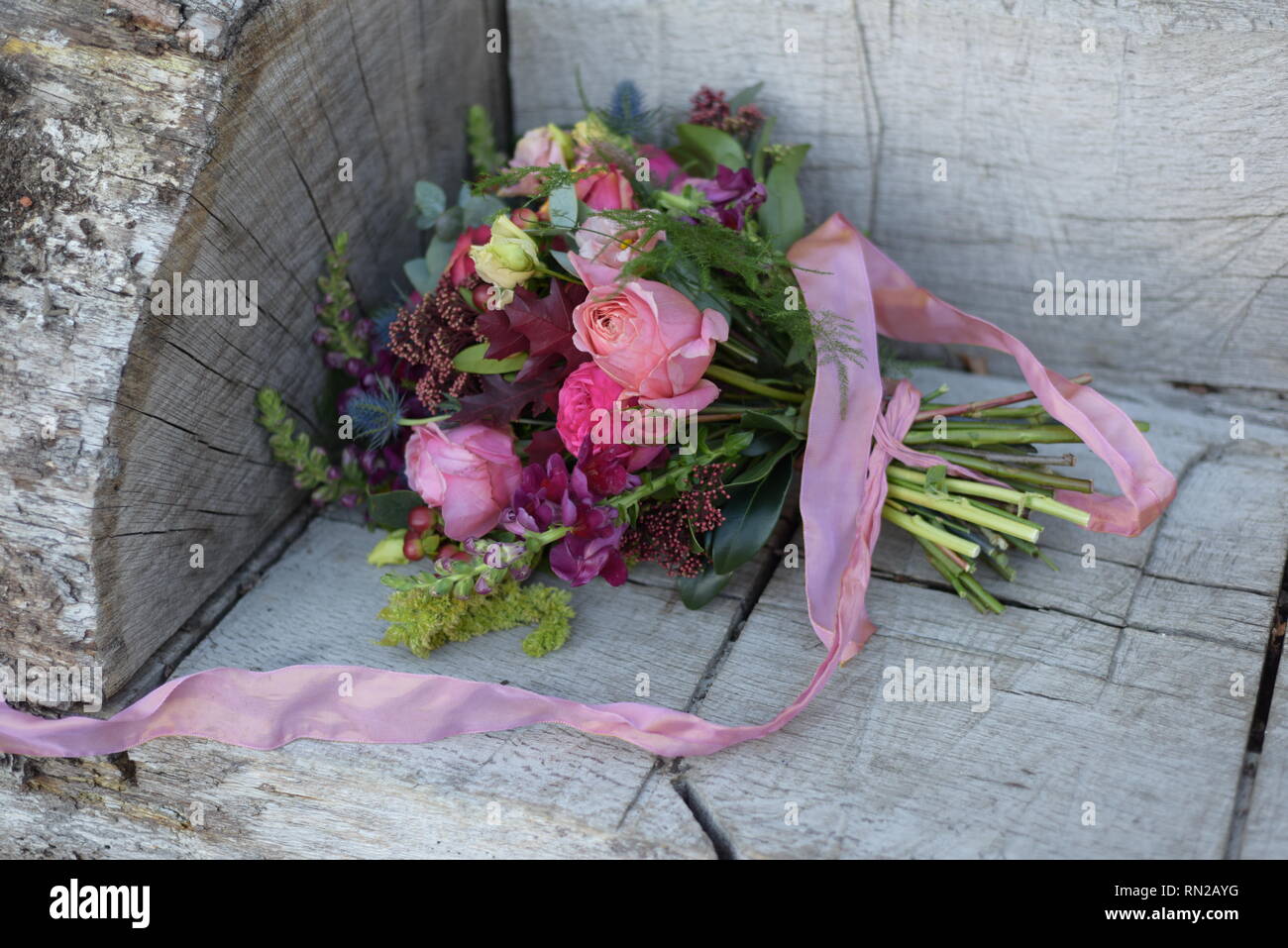 Beautiful vibrant cut flowers in a display in a strong low natural ...