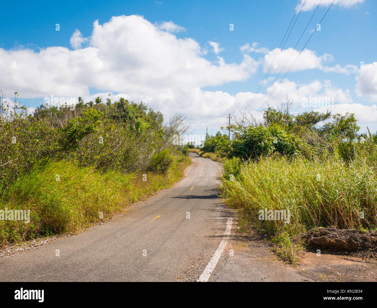 Ruta panoramica road in Puerto Rico. USA. this road is little used by ...