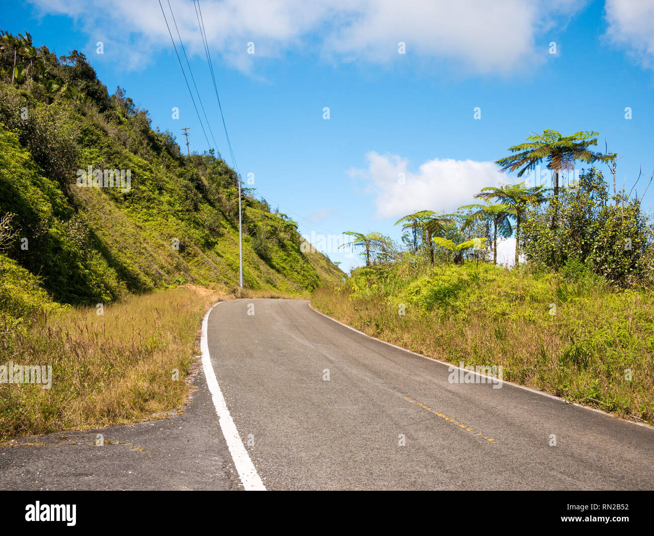 Ruta panoramica road in Puerto Rico. USA. this road is little used by ...