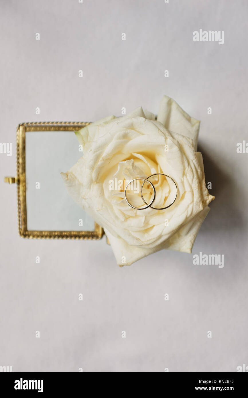 Creamy chest hi-res stock photography and images - Alamy