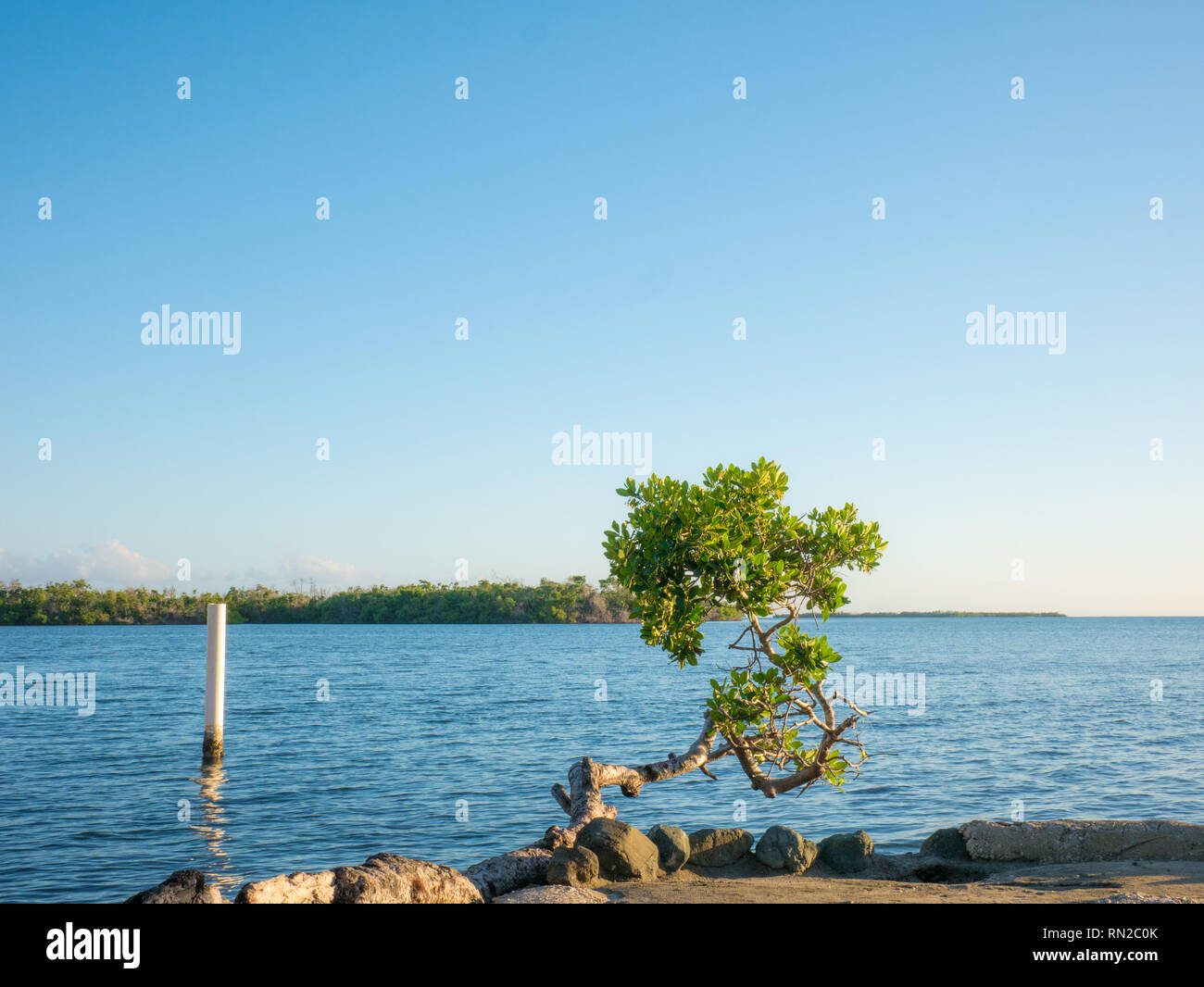 Punta Salinas is a large beach located on the west side of Puerto Rico ...