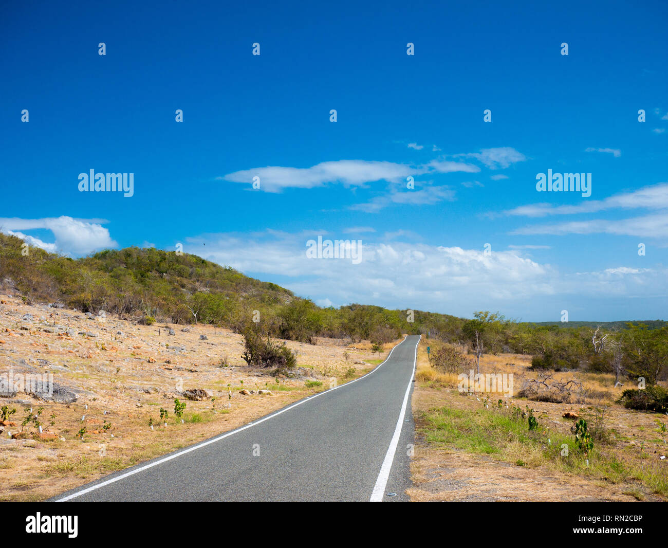 Ruta panoramica road in Puerto Rico. USA. this road is little used by ...