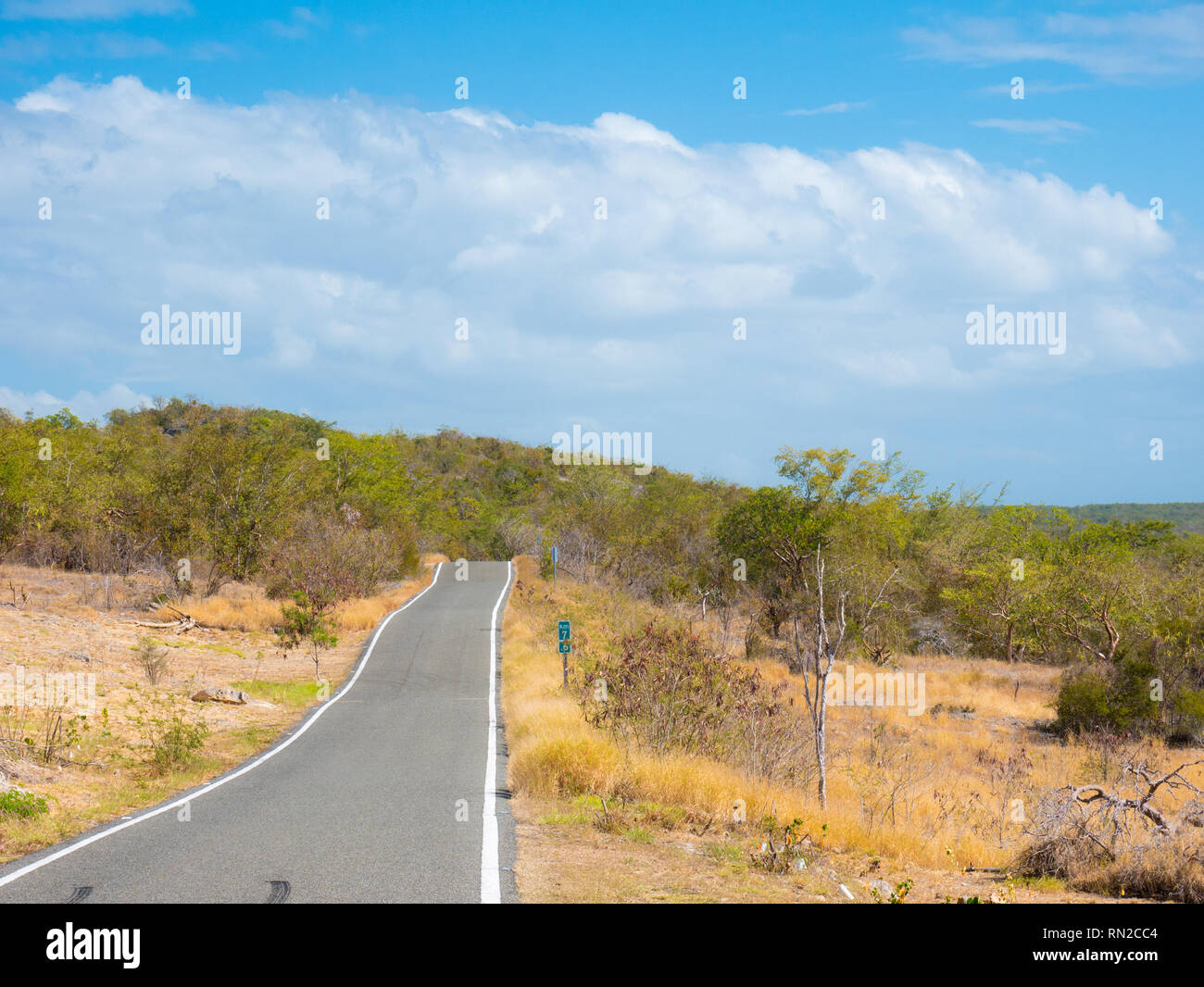 Ruta panoramica road in Puerto Rico. USA. this road is little used by ...