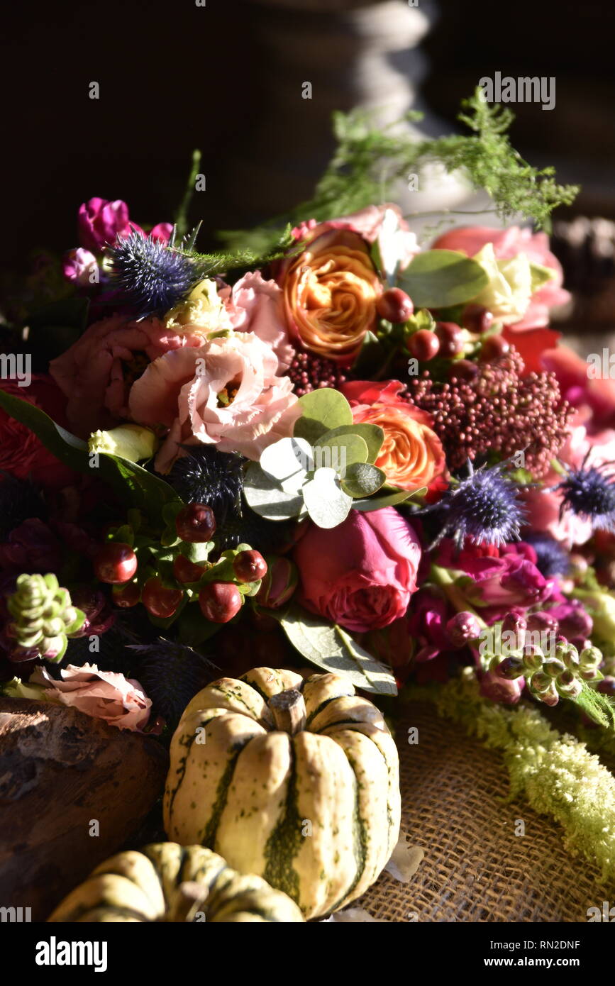Beautiful vibrant cut flowers in a display in a strong low natural ...