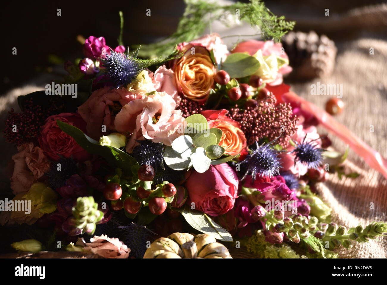 Beautiful vibrant cut flowers in a display in a strong low natural ...