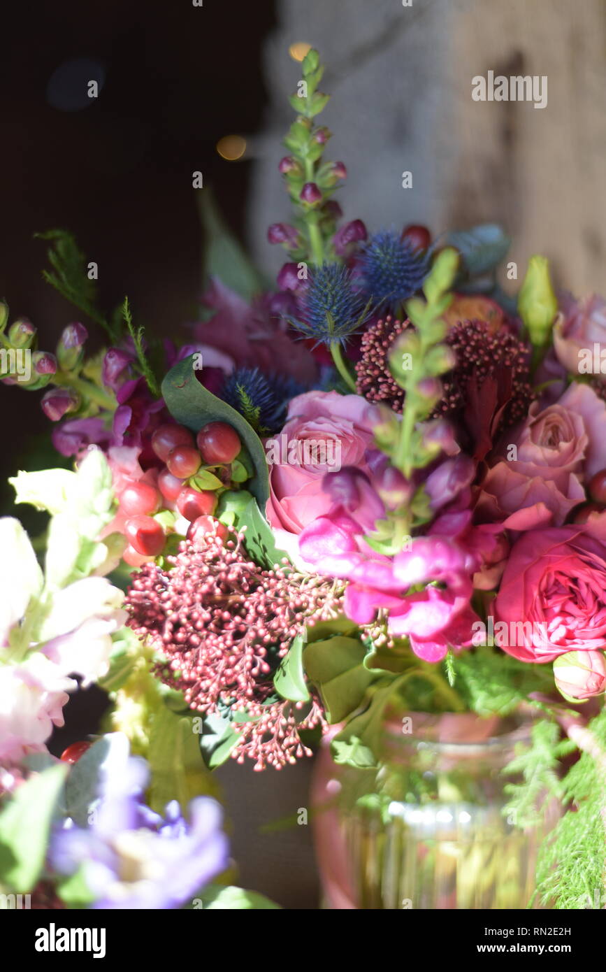 Beautiful vibrant cut flowers in a display in a strong low natural ...