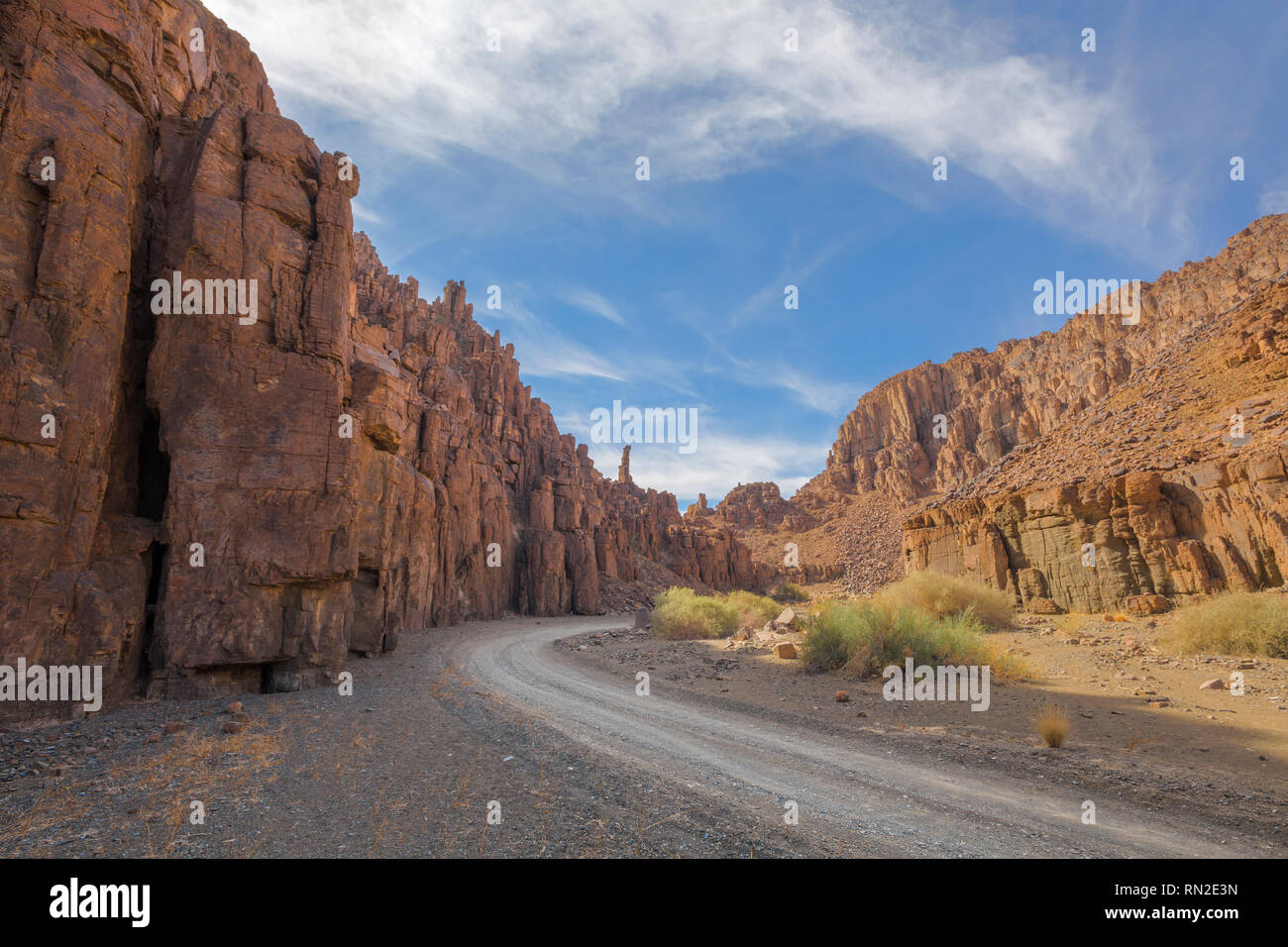 Quiver Tree Eco Route Stock Photo - Alamy