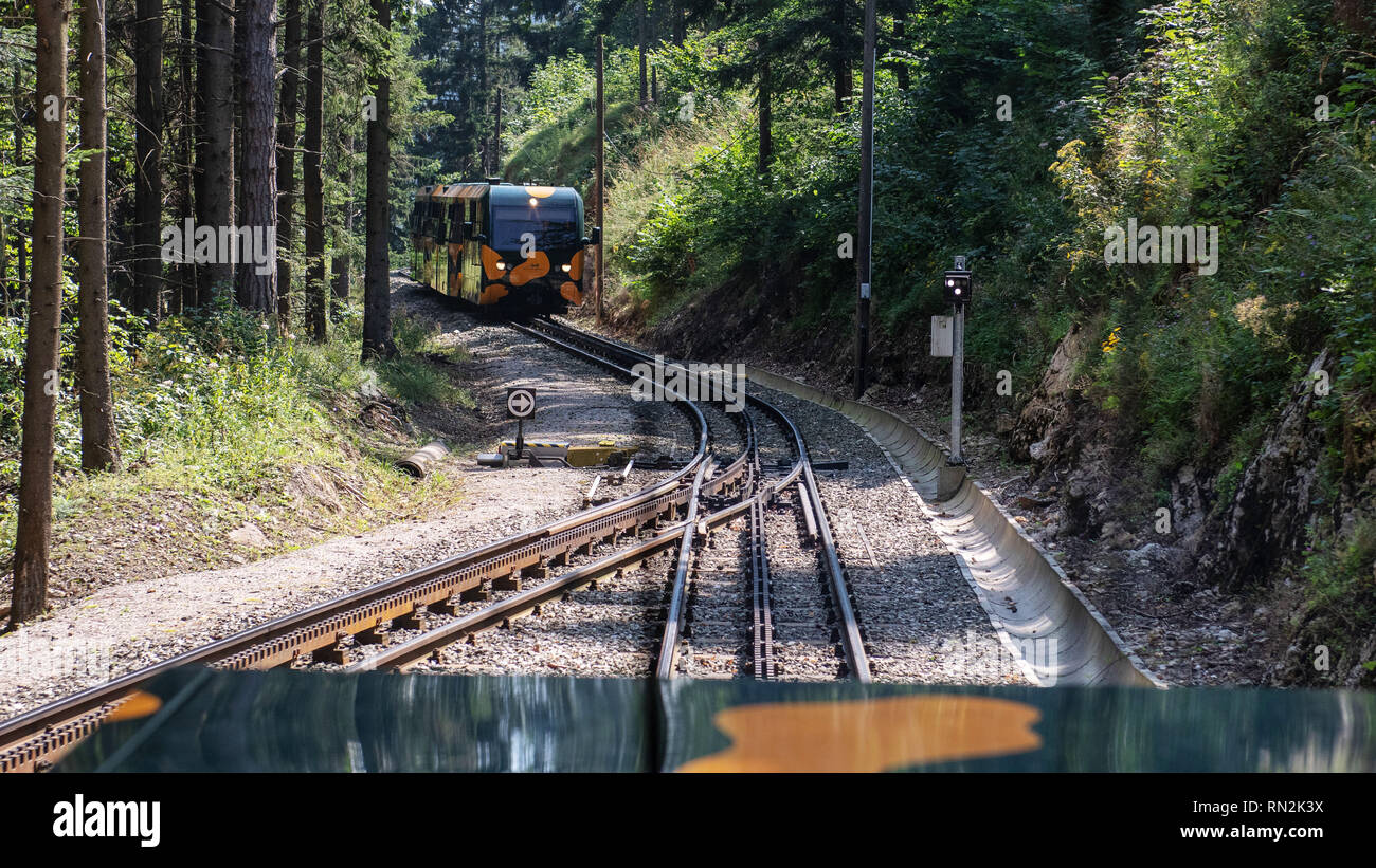 Metal salamander hi-res stock photography and images - Alamy