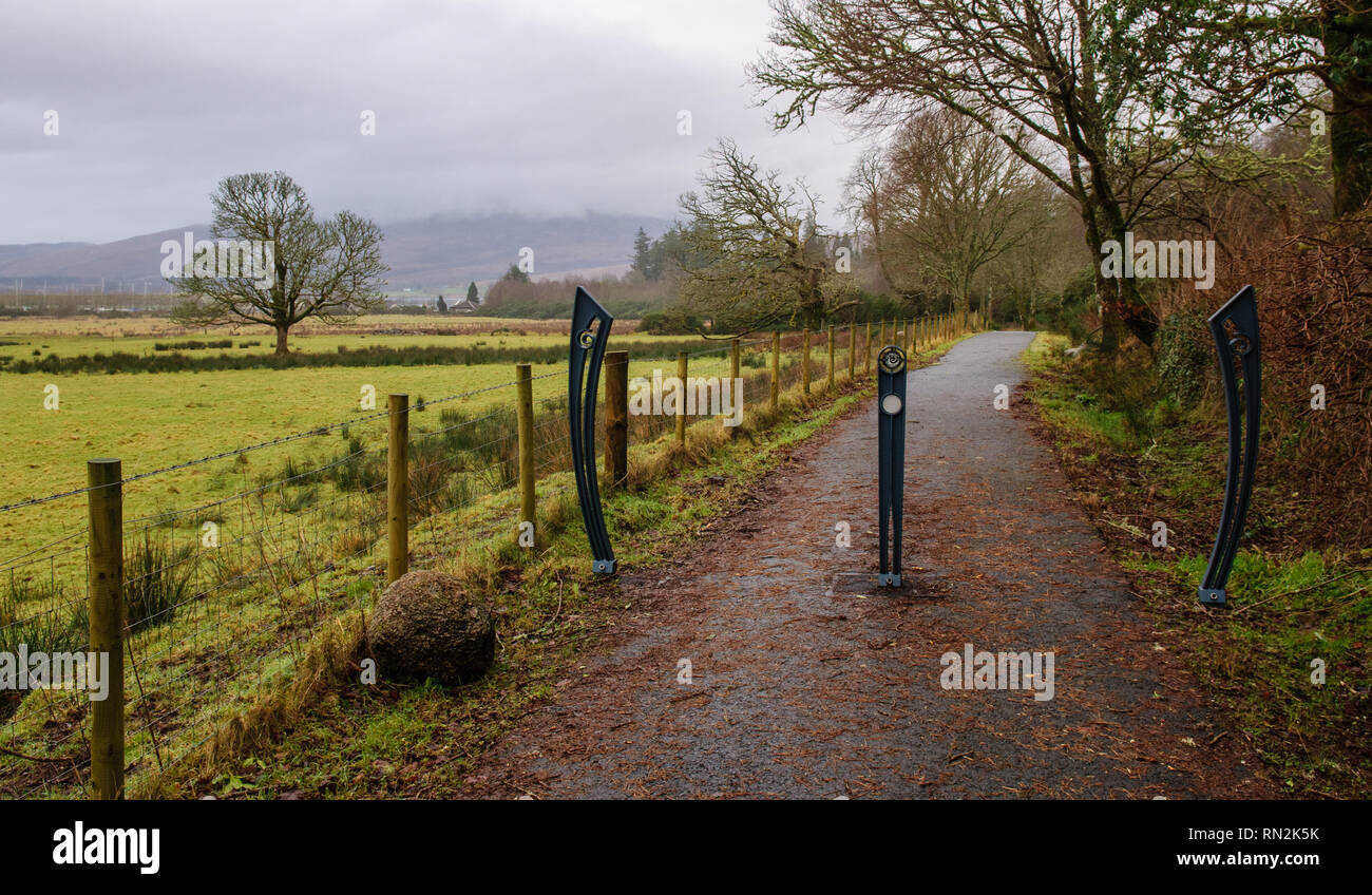 Woodland cycle way hi-res stock photography and images - Alamy