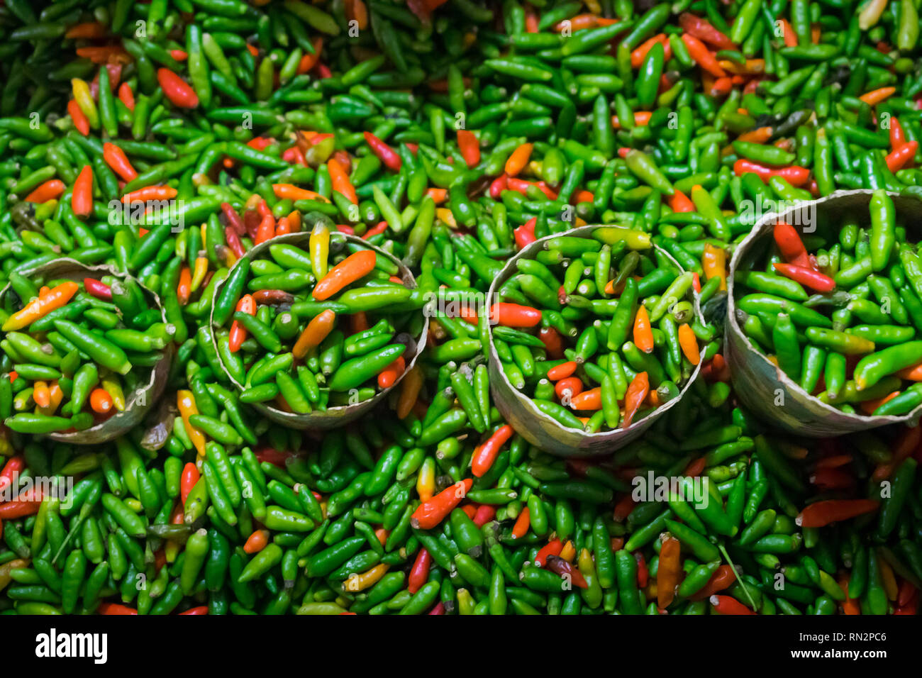 Small chilli pepper placed in different sized of cans displayed for ...