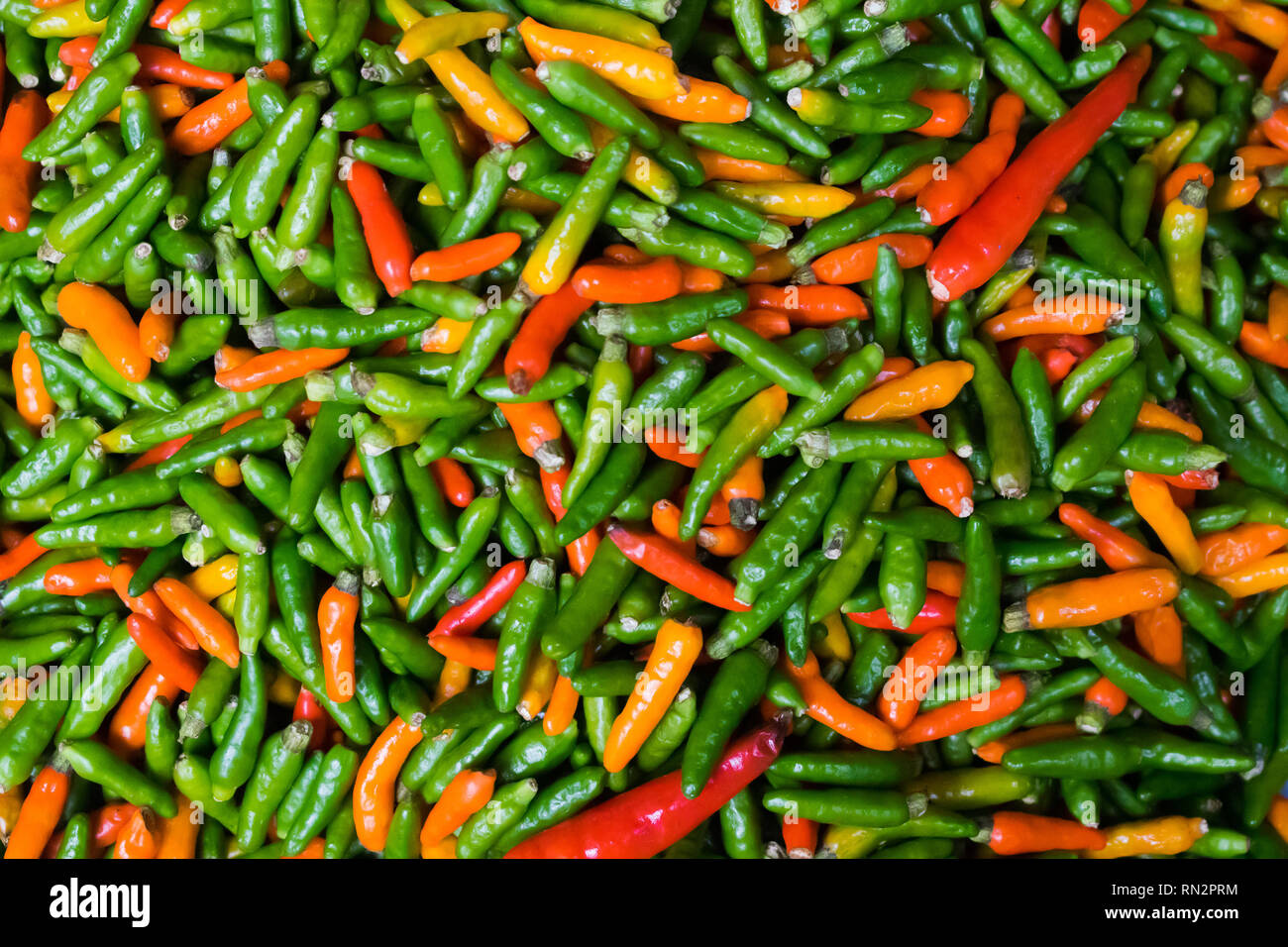 Small chilli hi-res stock photography and images - Alamy