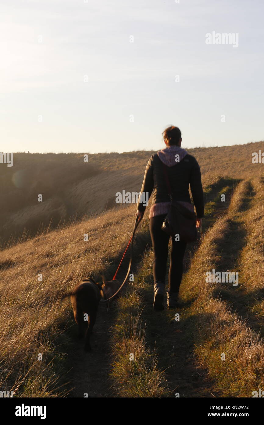 Coastal path at sunset hi-res stock photography and images - Alamy