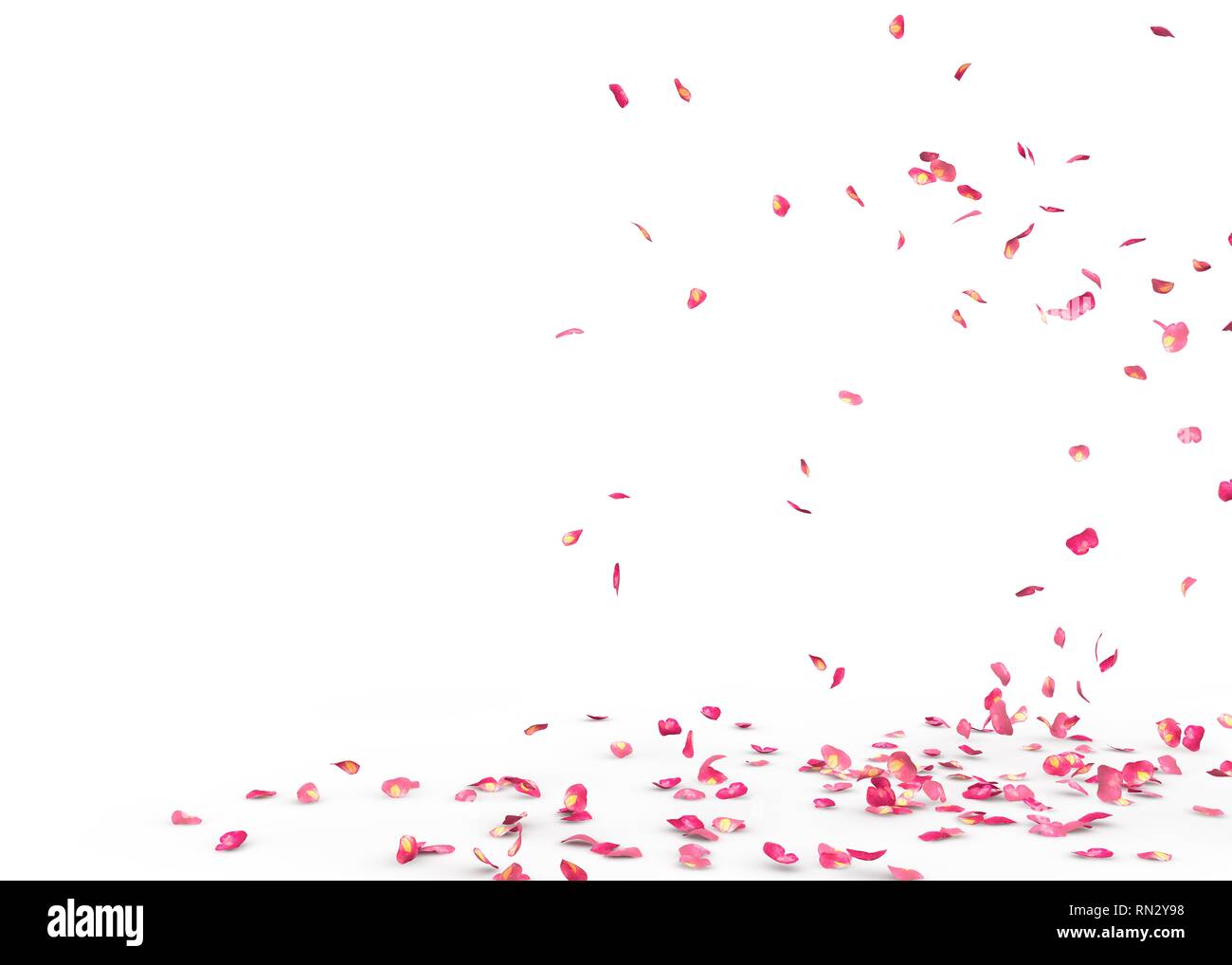 Small rose petals fly and fall to the floor. Isolated white background ...