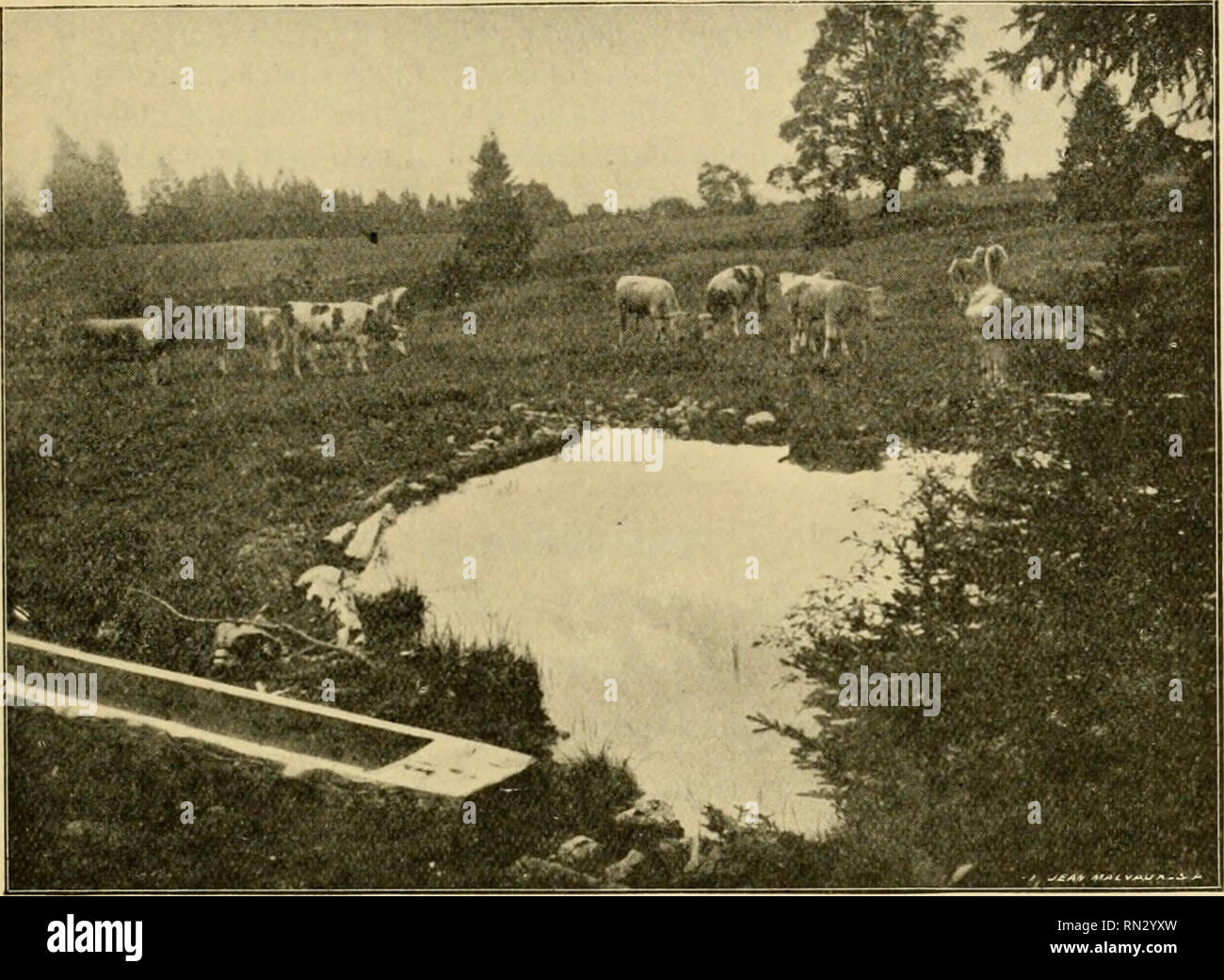 Difflugia difflugia spec hi-res stock photography and images - Alamy