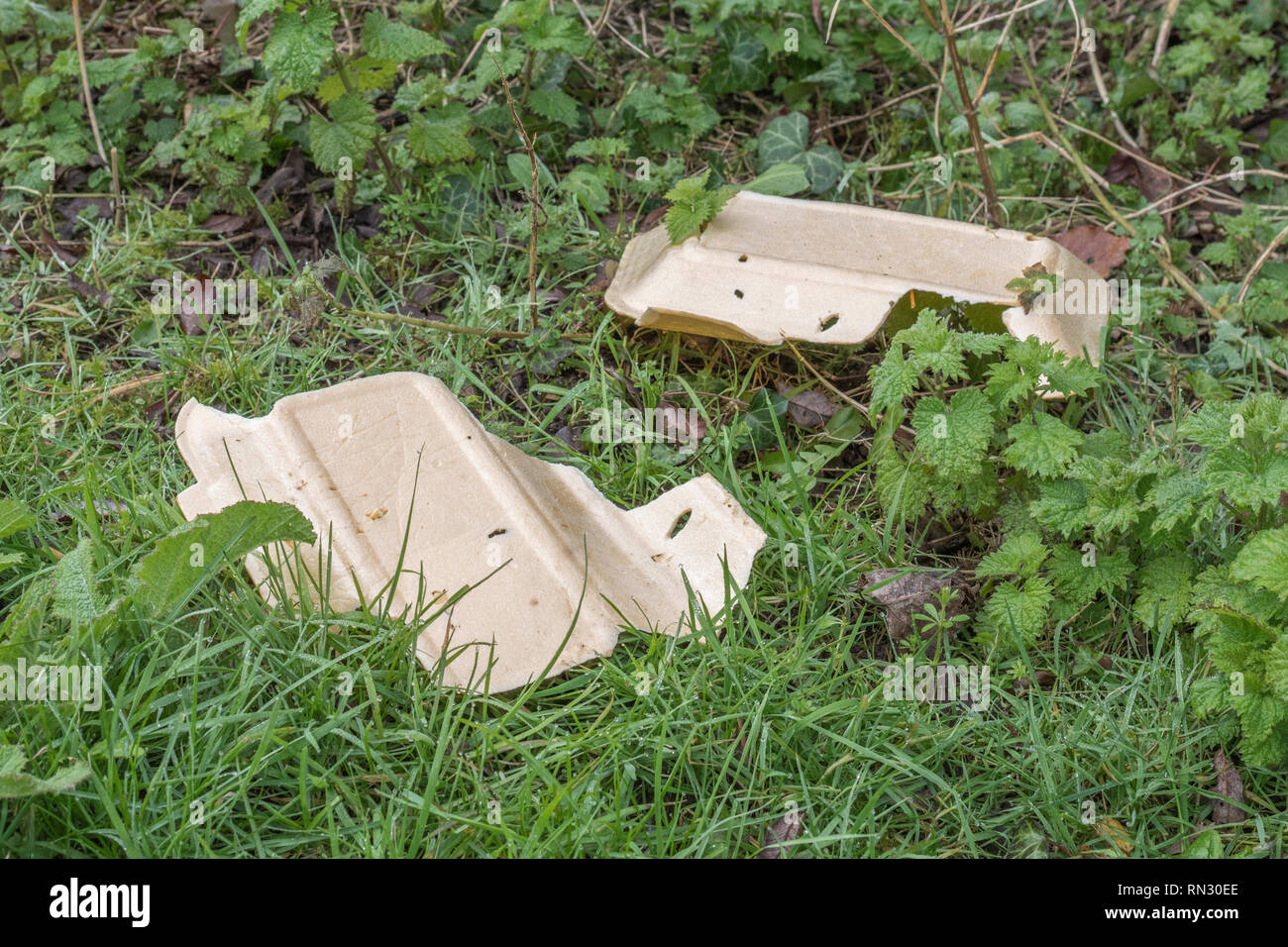 Generic unbranded polystyrene food packaging discarded in the ...