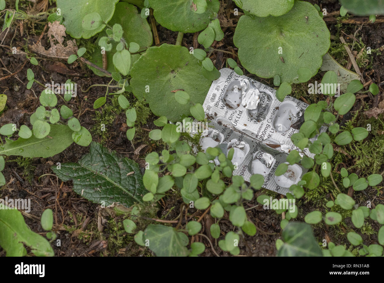 Plastic blister-pack rubbish littering hedgerow. Is for Ibuprofen 200mg ...