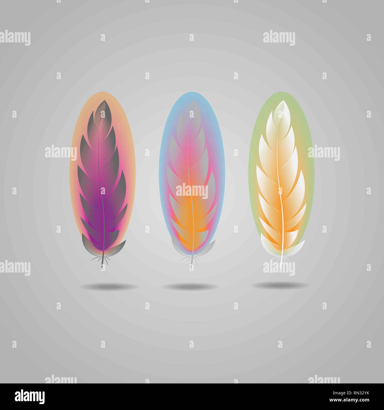 Eps 10 peacock vector hi-res stock photography and images - Alamy