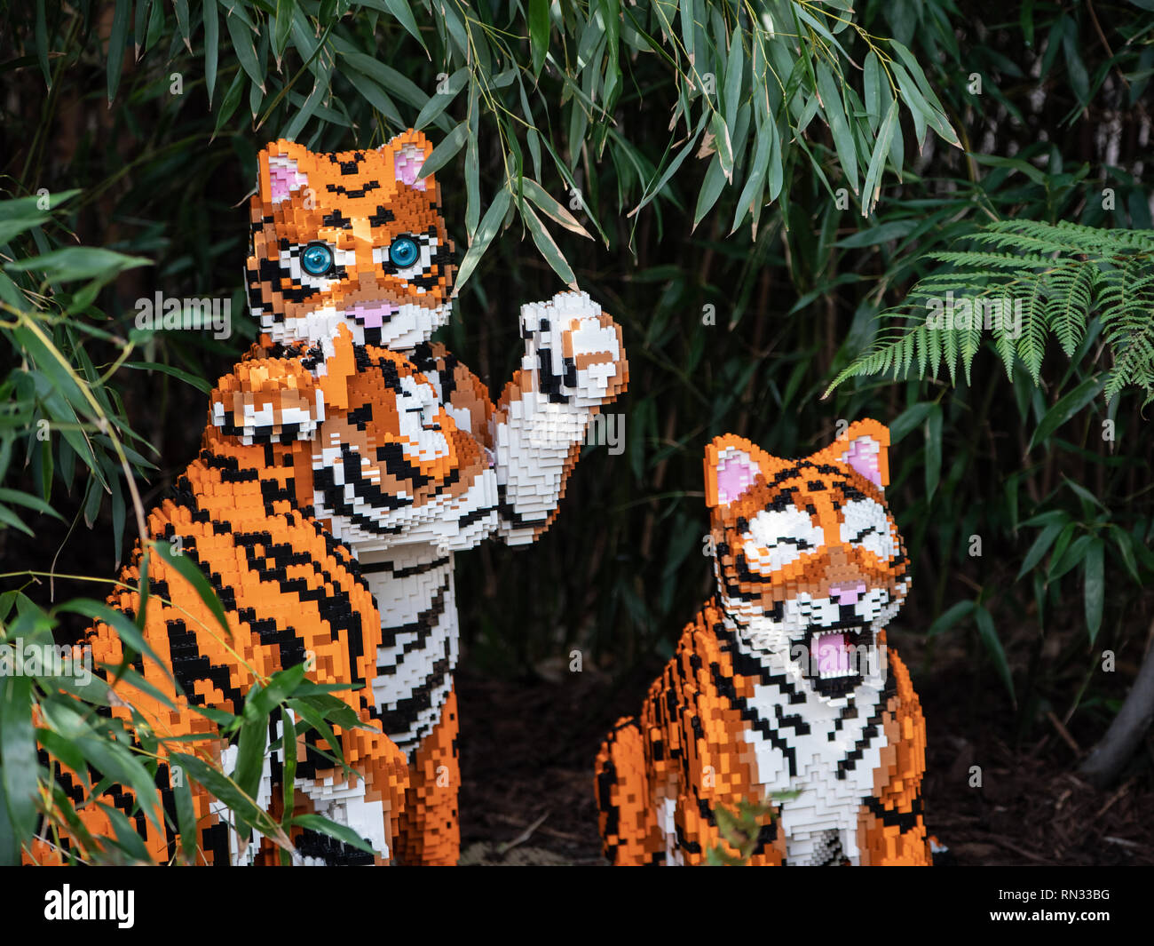 Tiger cub models, part of the lifesize Lego Big Cats Exhibition at ...