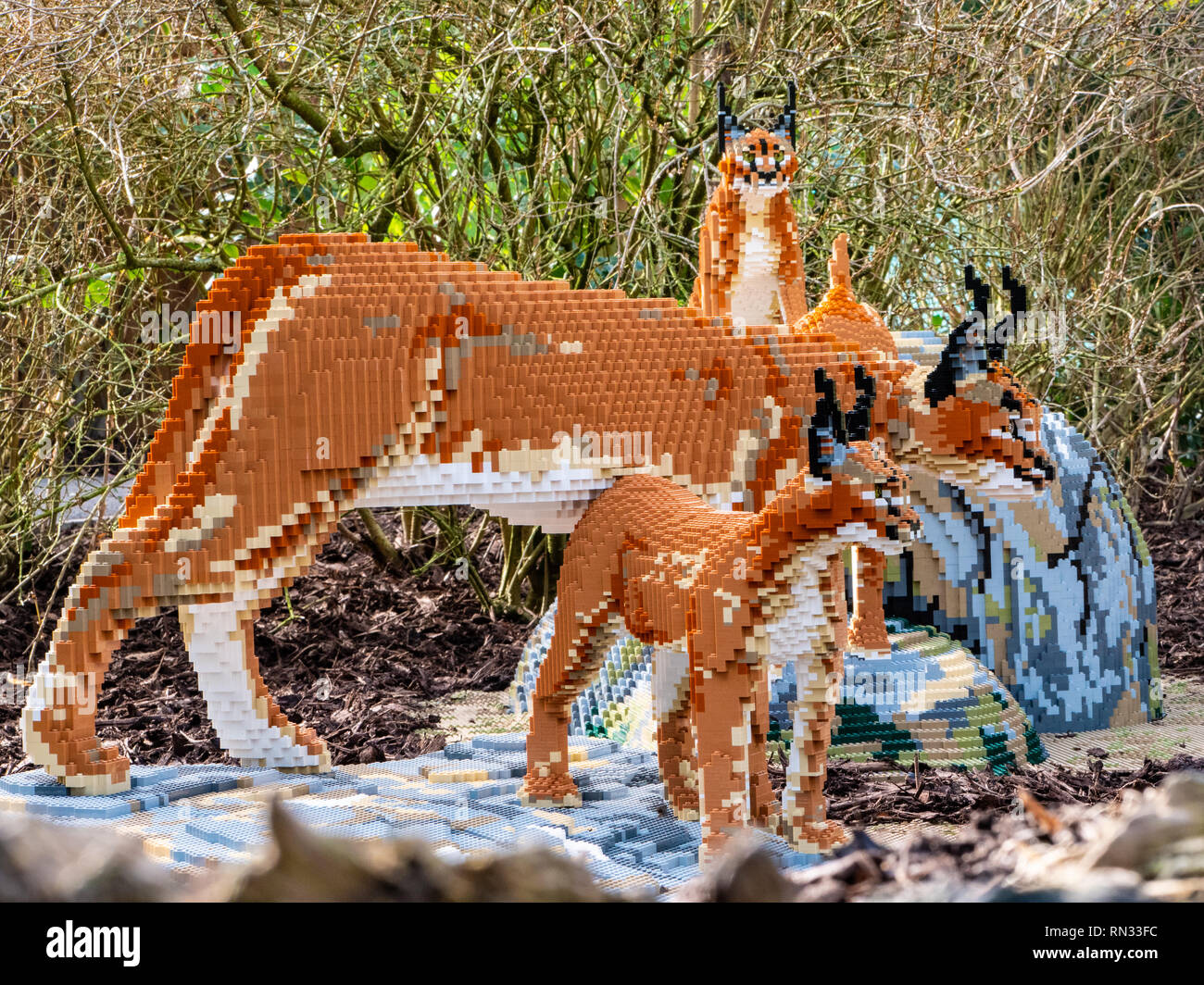 Caracal family model, some of the lifesize Lego Big Cats at Chester Zoo ...