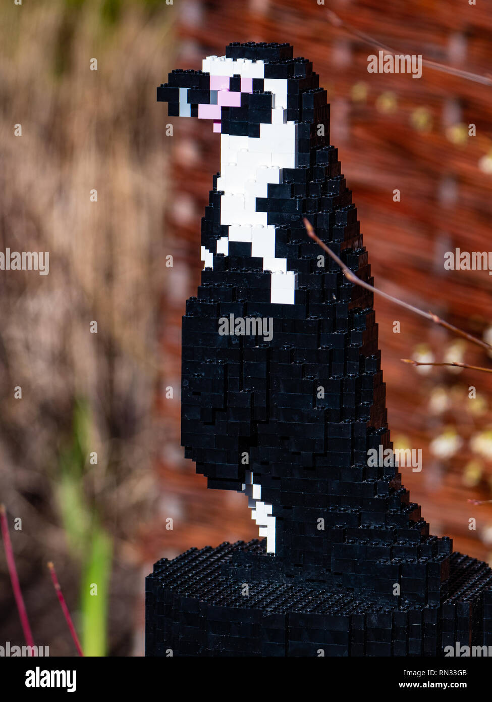 Humboldt penguin model, part of the Lego Brick Trail at Chester Zoo ...