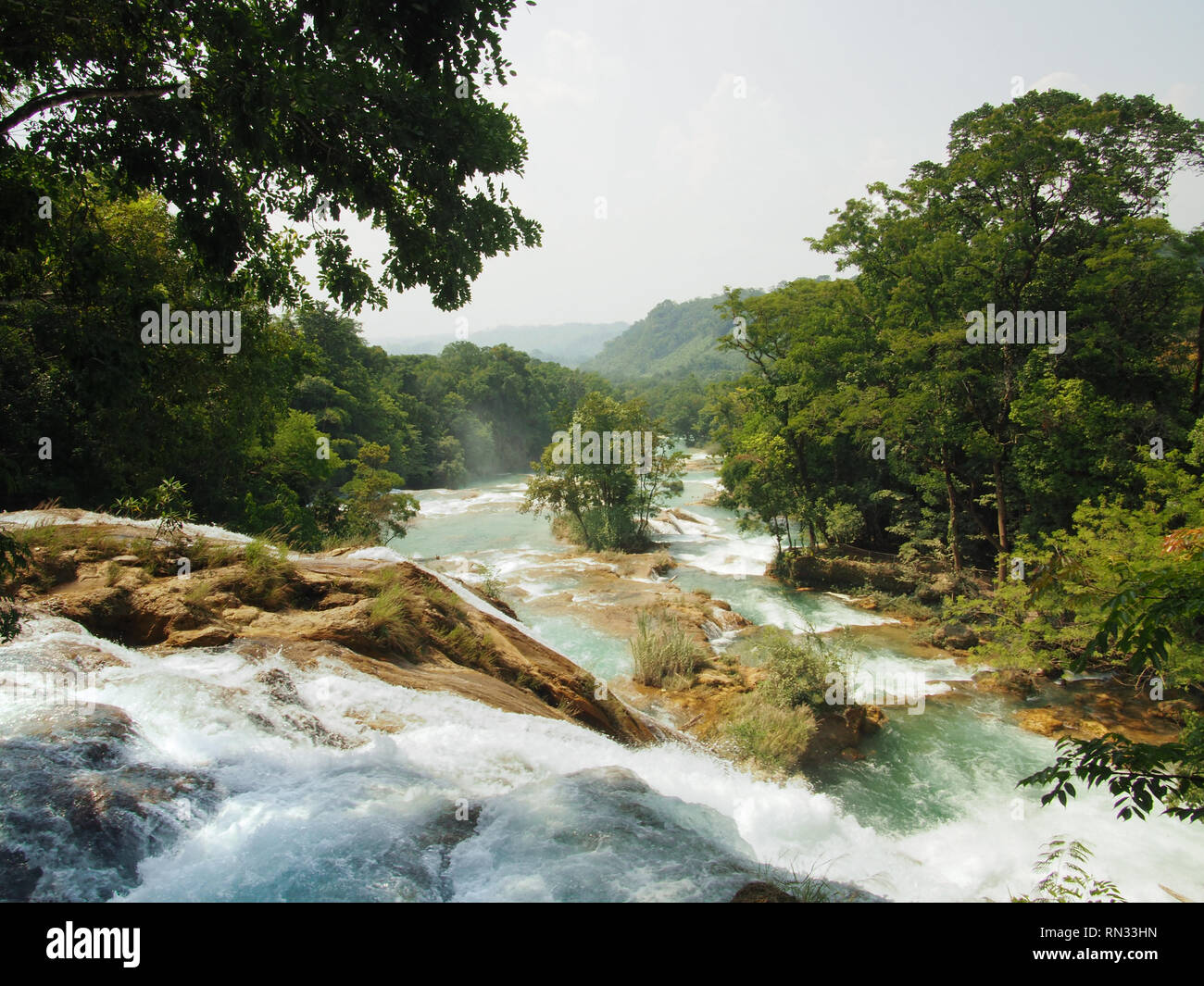 Chiapas Mexico Rain Forest High Resolution Stock Photography and Images ...
