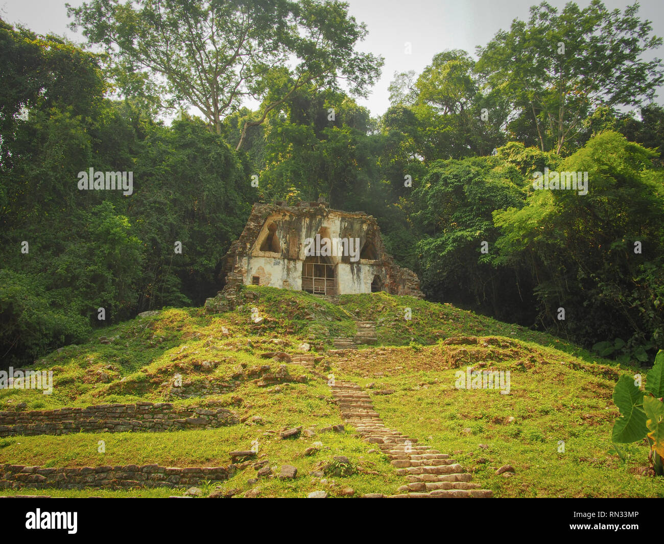 Old house in the ruins of Palenque, Yucatán, Mexico Stock Photo - Alamy