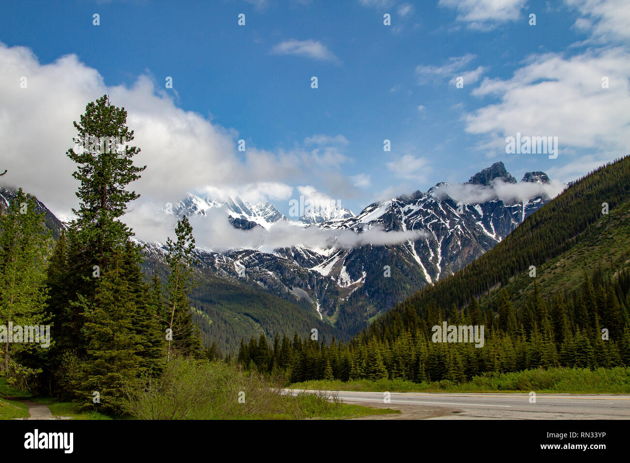 Beautiful Rocky Mountains, rest area in Rogers Pass Stock Photo - Alamy
