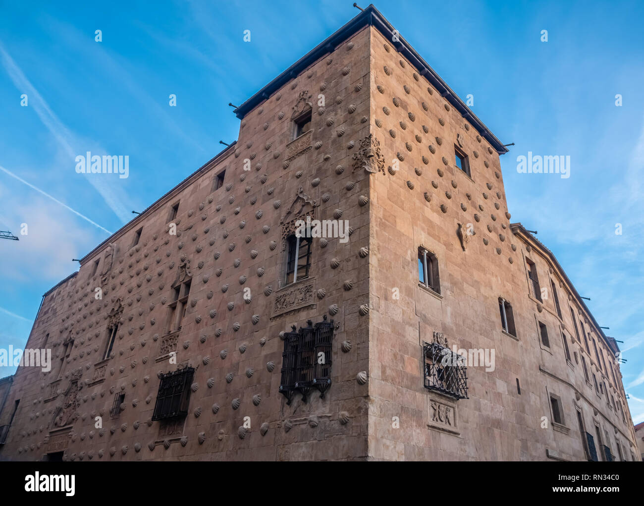 Public Library housed in the historic House of Shells, Salamanca ...