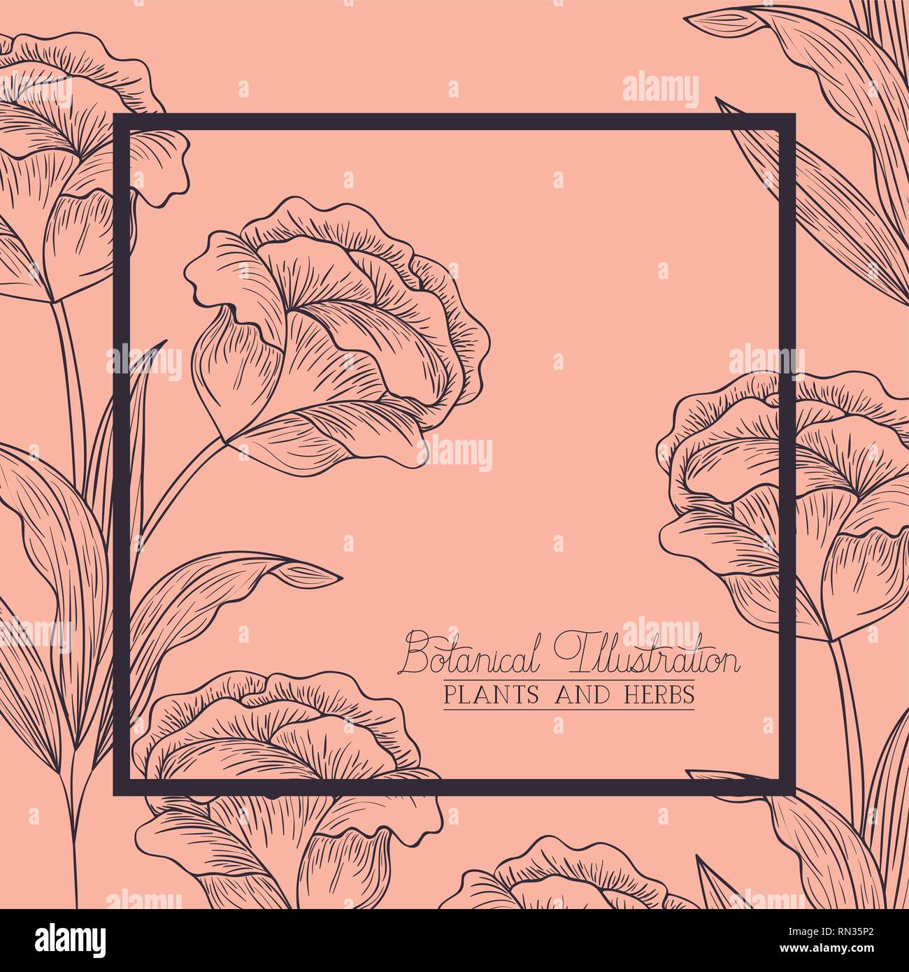 Rosal hi-res stock photography and images - Alamy