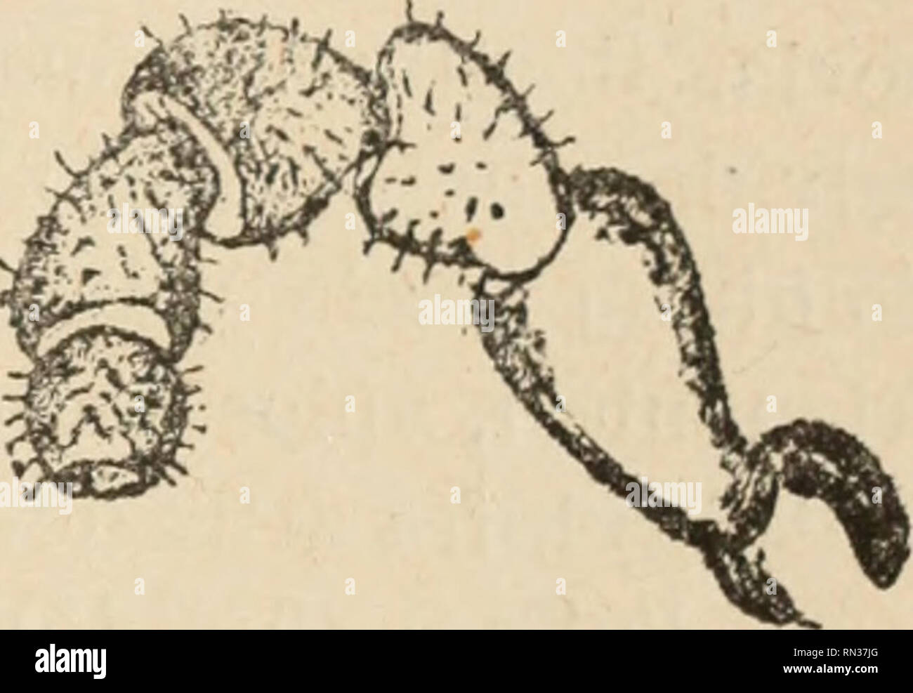 N vertic hi-res stock photography and images - Alamy