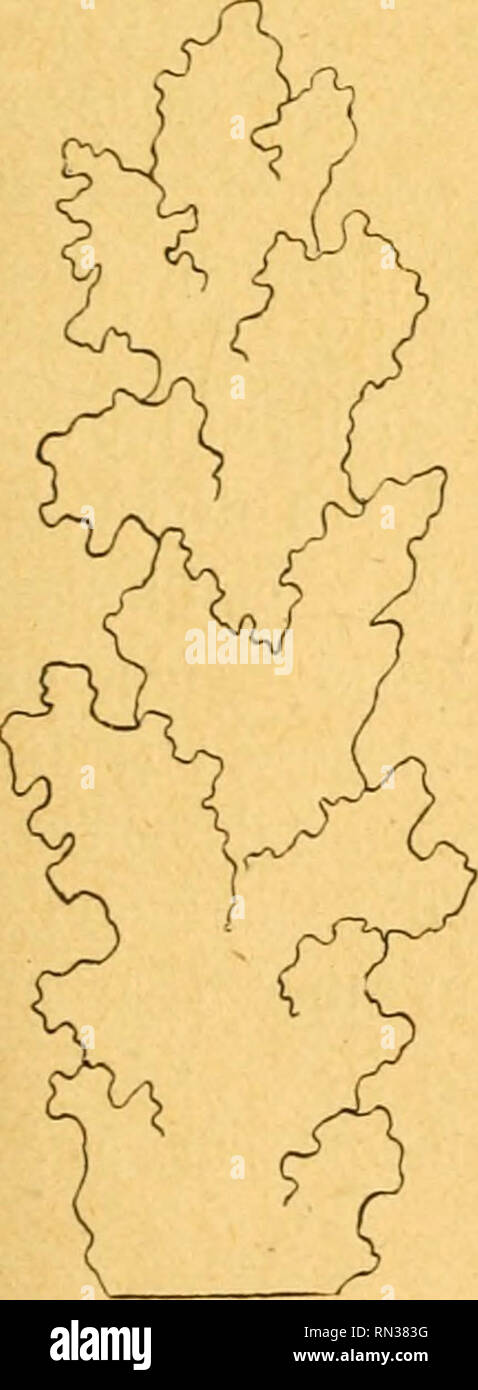 Aider la belgique hi-res stock photography and images - Alamy