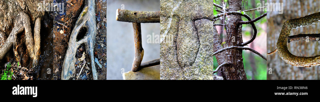 Nature is formed by nature. Each letter in the word is formed by roots ...