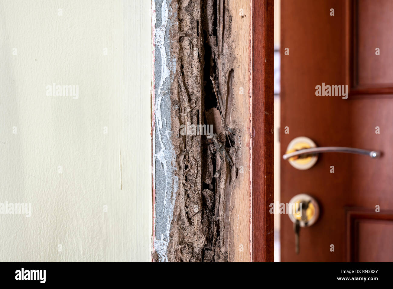 Repaired plinth block damaged by termites, now treated. Ample copy ...