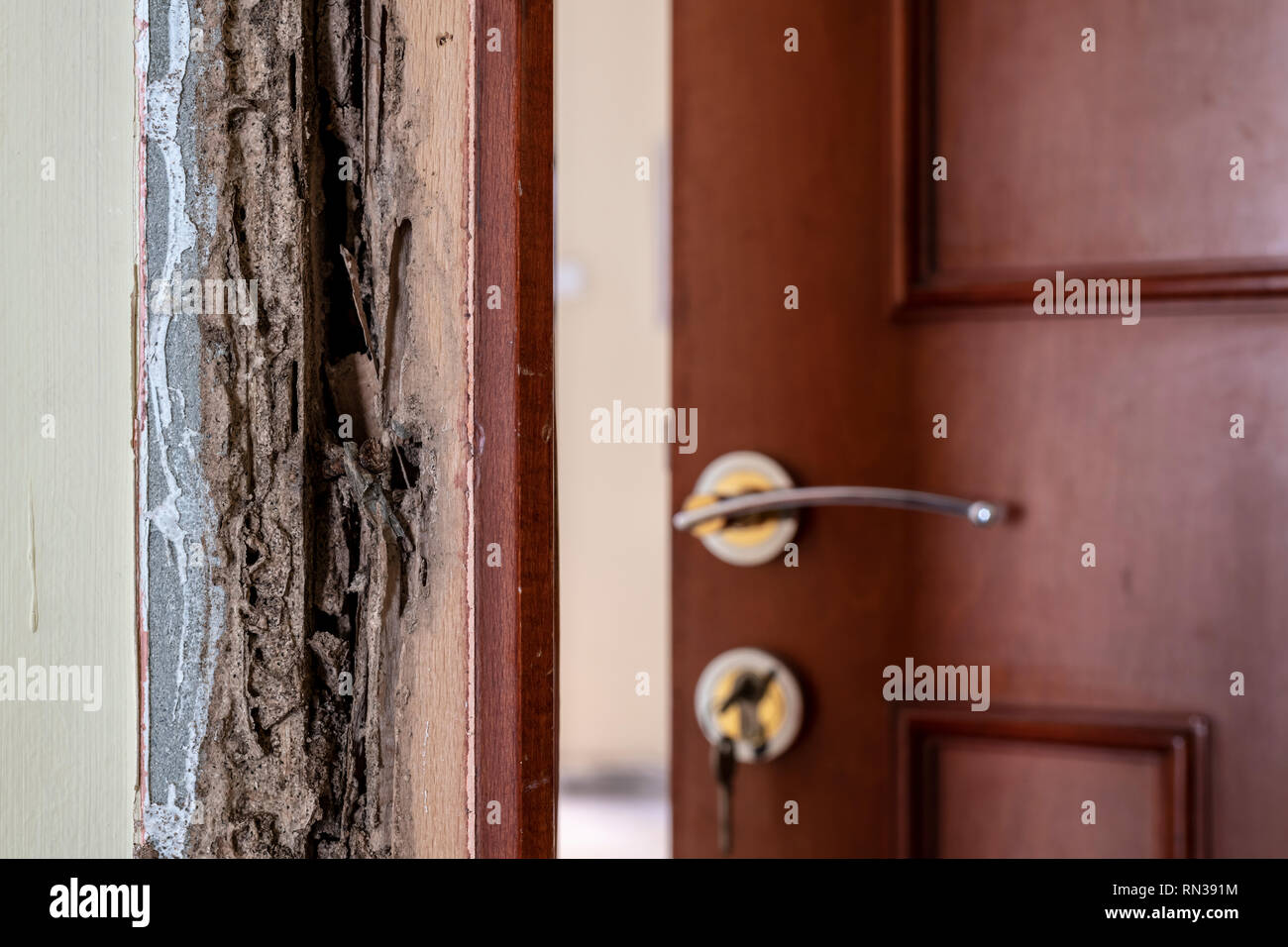 Plinth Block of a door damaged by termites, after treatment, pest issue ...