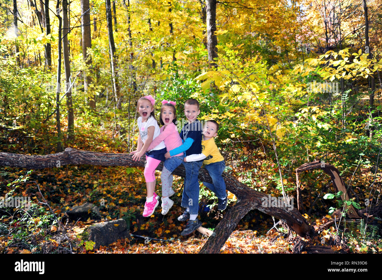 Four children playing outside hi-res stock photography and images - Alamy