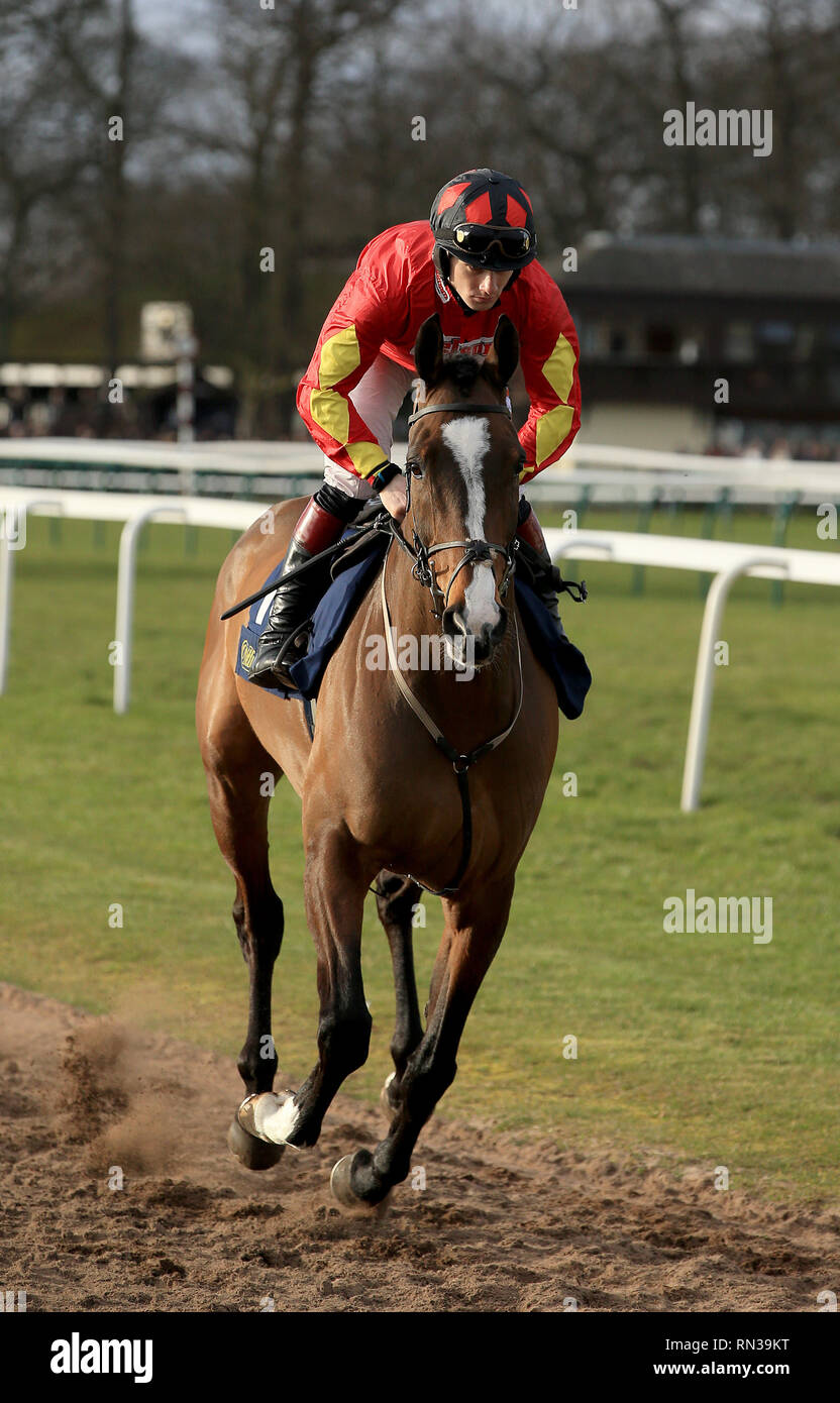 William hill grand national trial day haydock racecourse hi-res stock ...