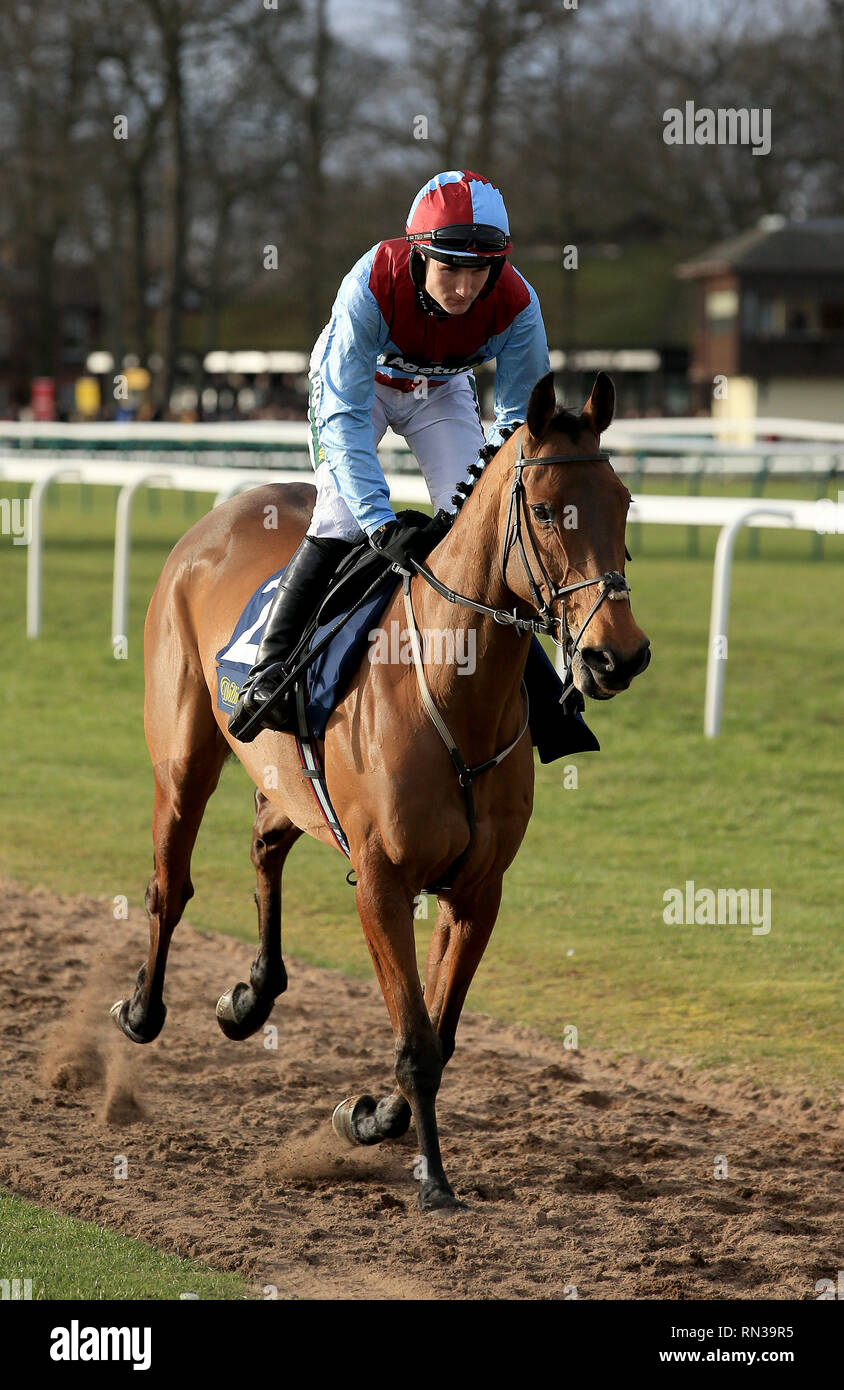 William hill grand national trial day haydock racecourse hi-res stock ...