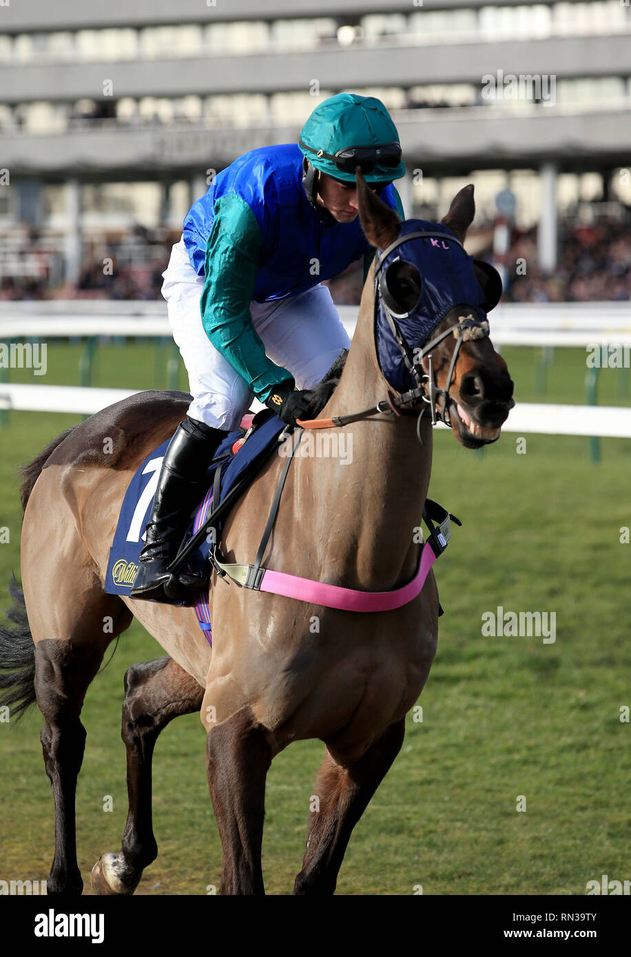 William hill grand national trial day haydock racecourse hi-res stock ...