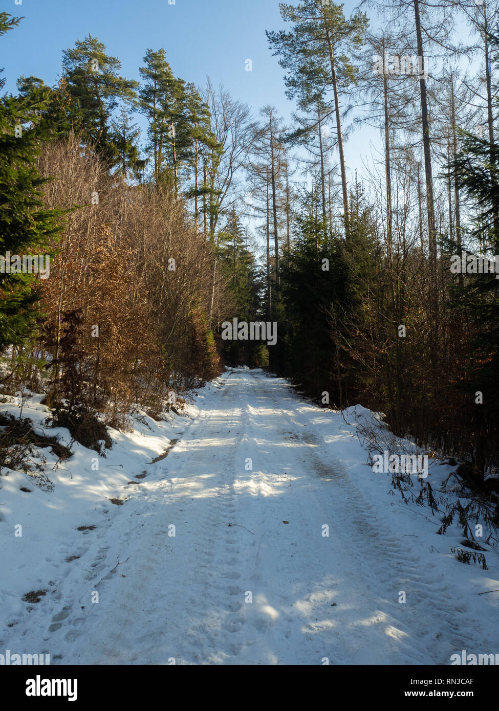 Rural path in winter Stock Photo - Alamy