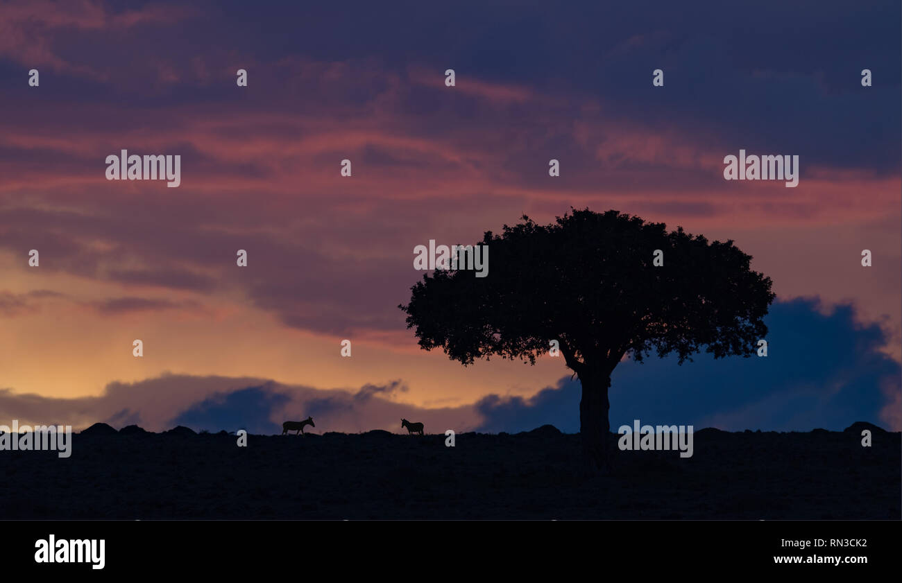 African sunset colours hi-res stock photography and images - Alamy