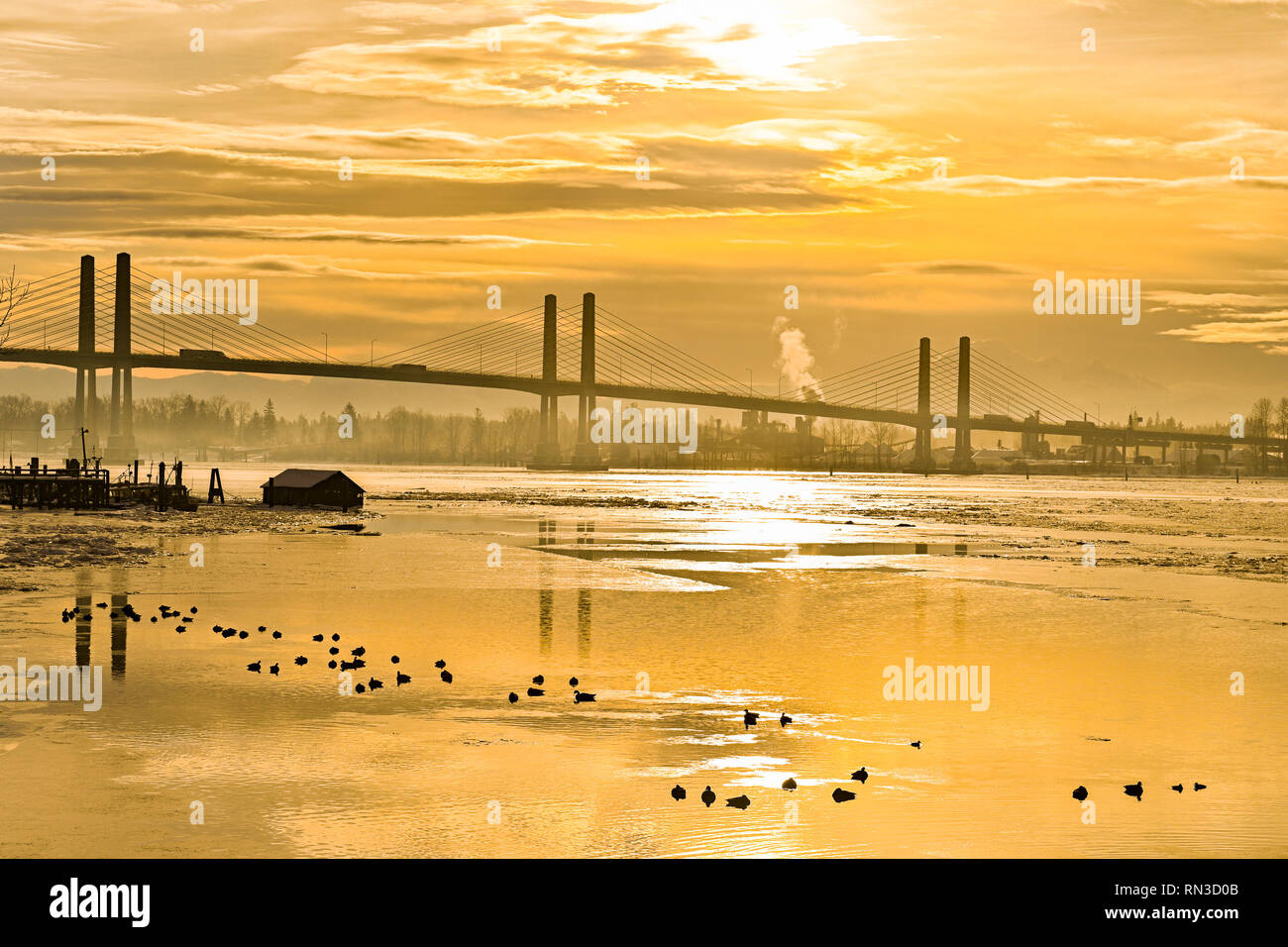Golden river bridge hi-res stock photography and images - Alamy