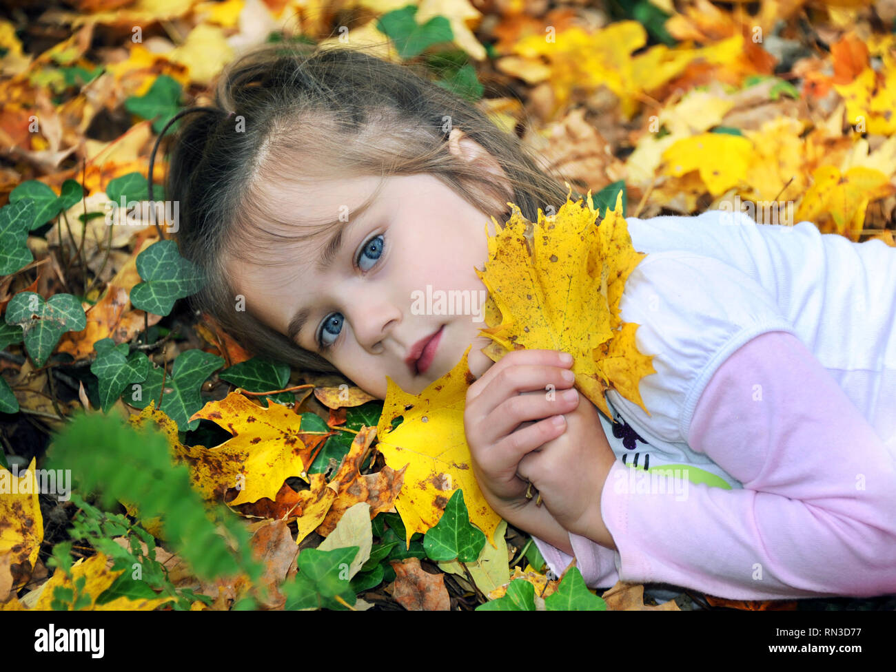 This little girl is sad because her beautiful Fall leaves are turning ...