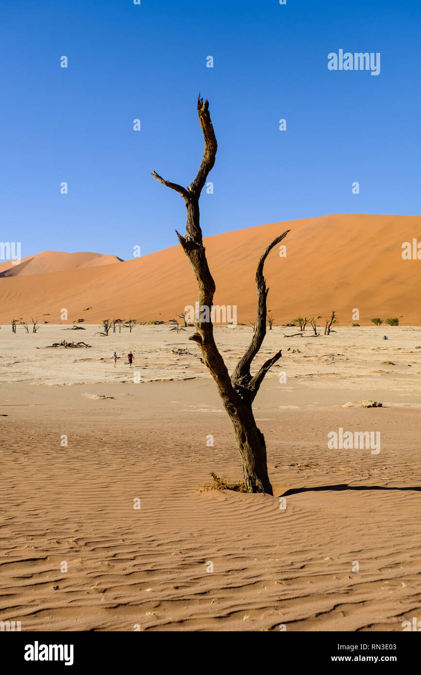 Dead trees at Deadvlei in the Namib-Naukluft Park, Namibia Stock Photo ...