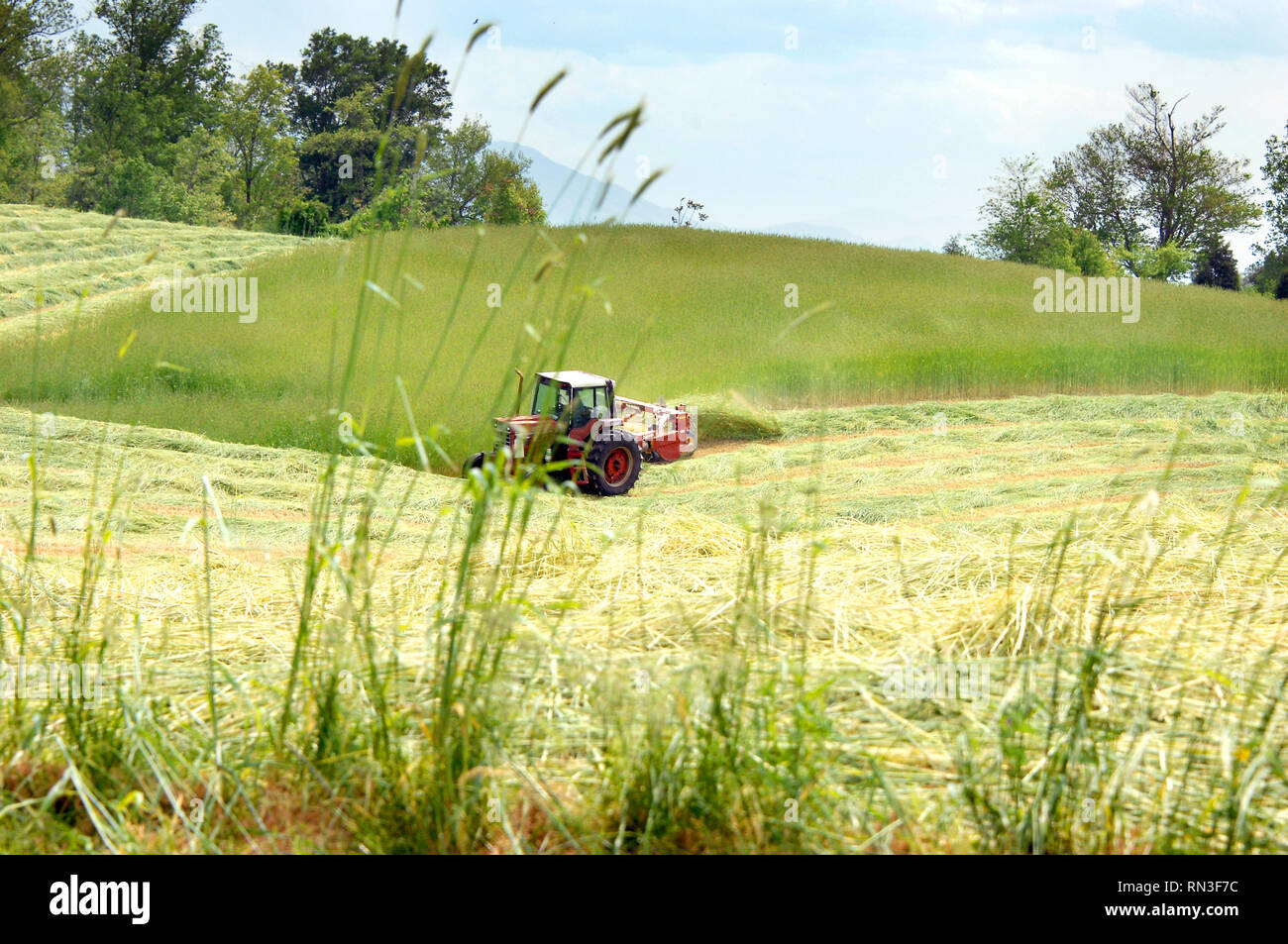 Tennessee farmer cuts the hay in his field with a red tractor and mower ...